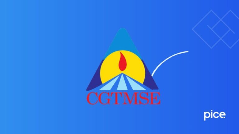 CGTMSE Scheme: Full Form, Fees & How To Check Loan Eligibility // Pice