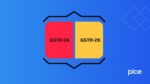 Difference Between GSTR 2A And 2B // Pice